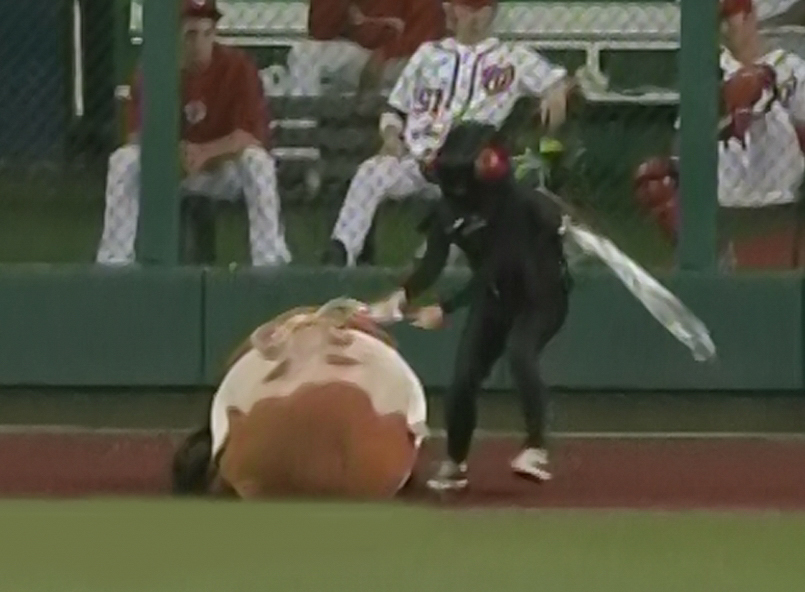 Videos: Giant cicada invades Nationals Park, attacks Teddy Roosevelt ...